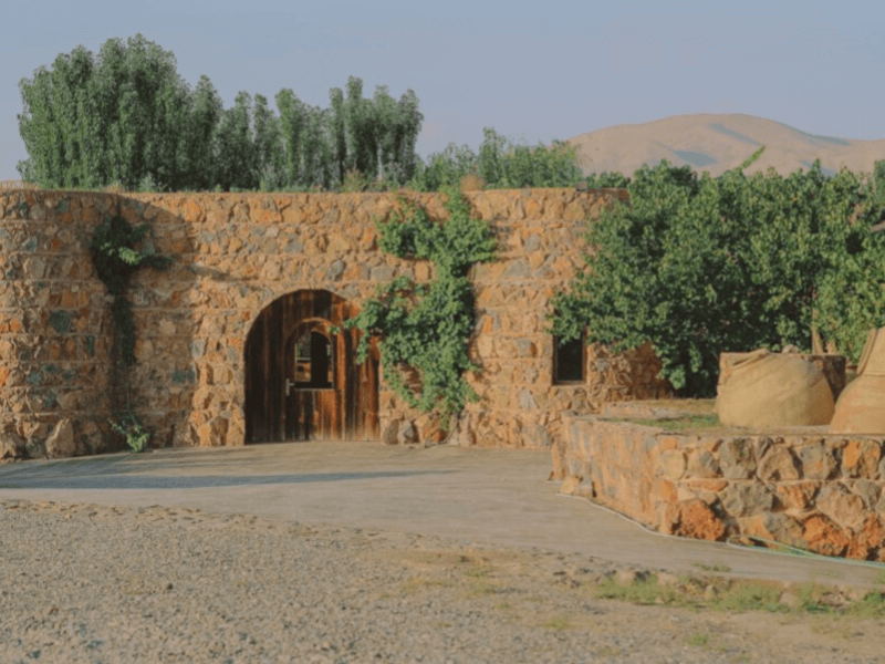 Tushpa Wine │ ONLINE SHOP │ Armenian Brandy and Wine